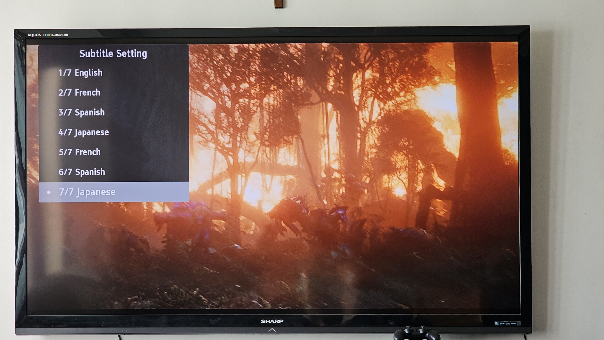 오포203 자막 불러오기 - DVDPrime