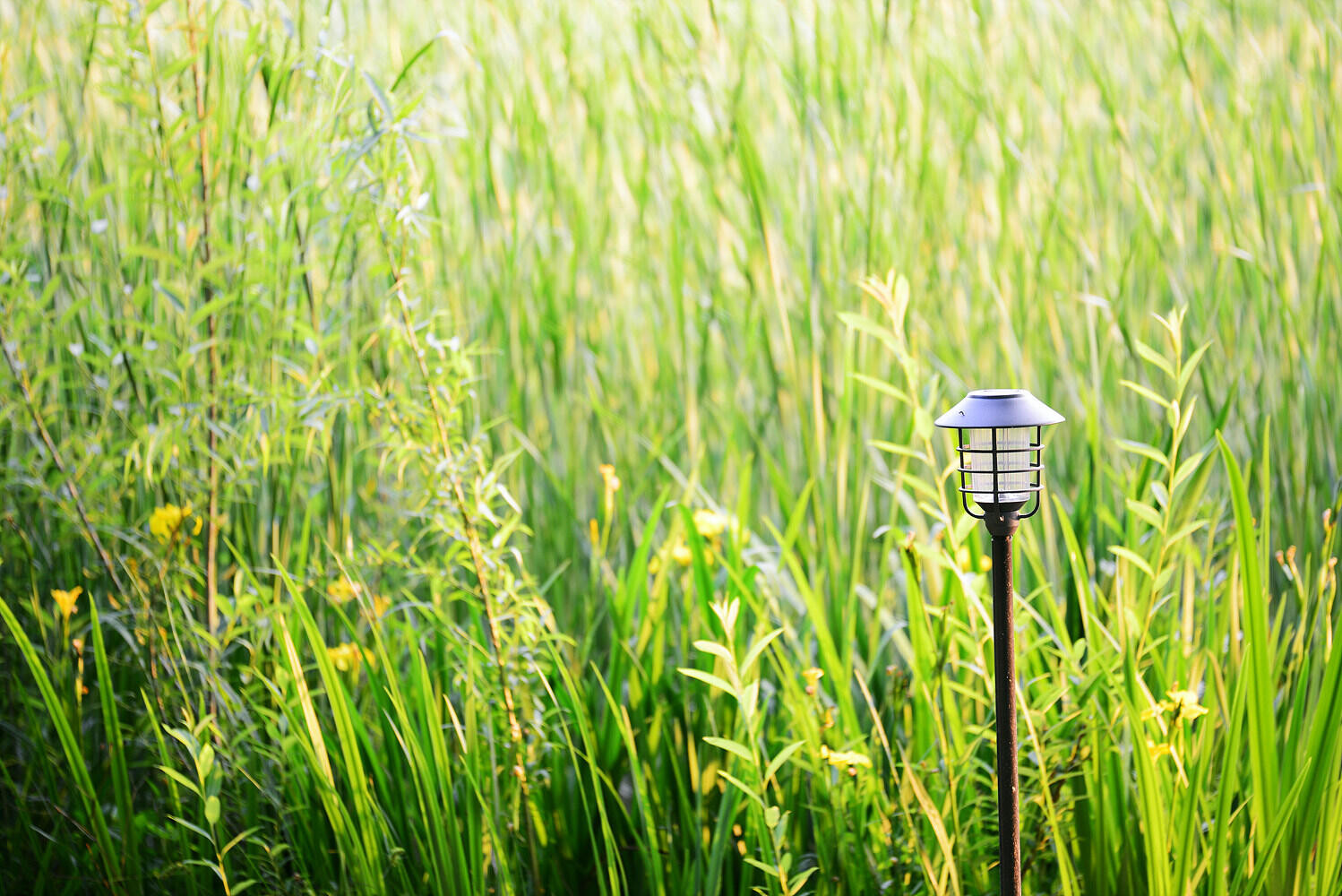 녹색 빈도 높음.jpg - DPrime