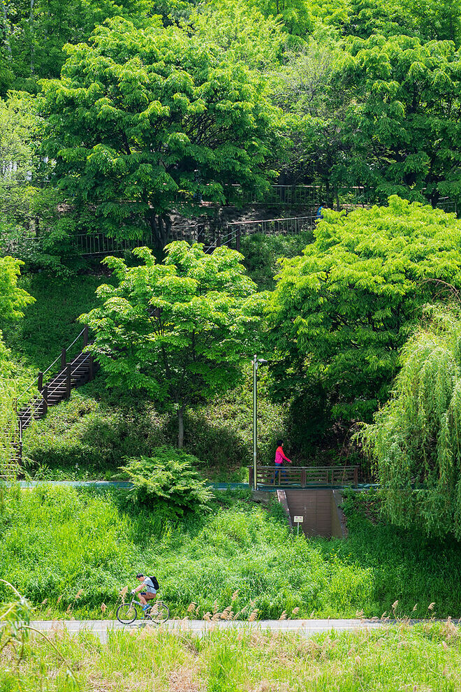 녹색 빈도 높음.jpg - DPrime