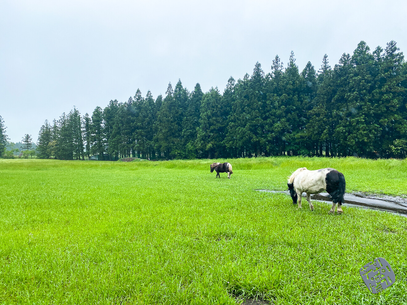 가만히 있자니 졸려서... - DPrime