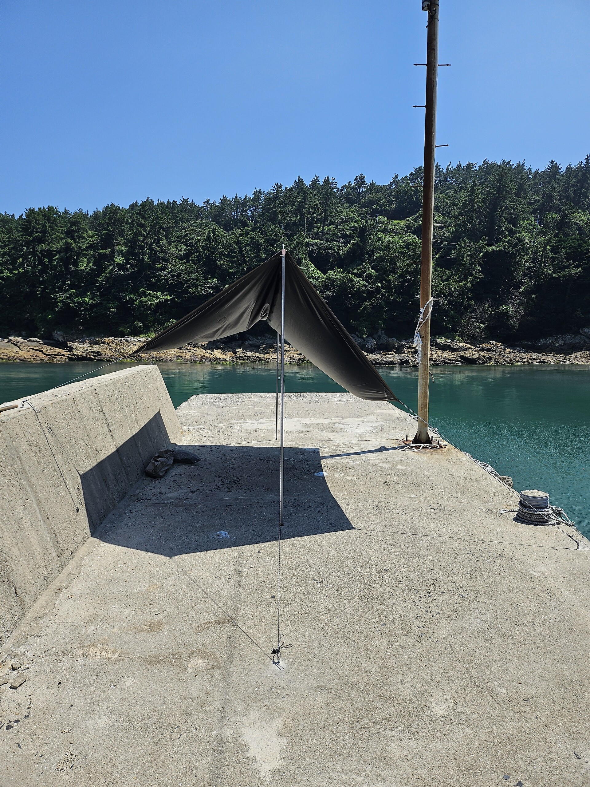 타프 그늘아래 - DVDPrime