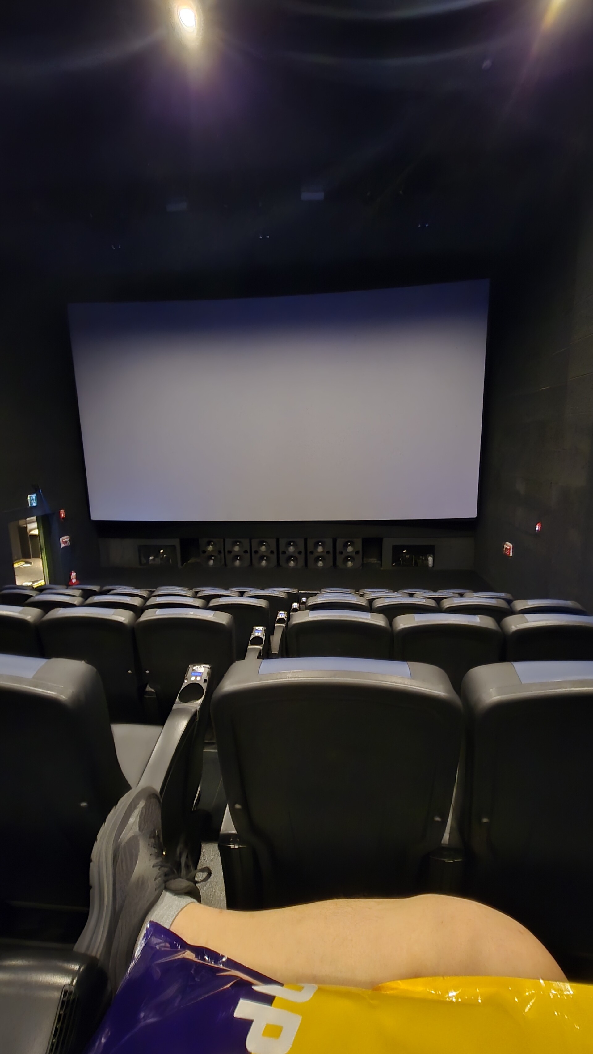 평일 MX4D 영화관 전세냈습니다 - DVDPrime