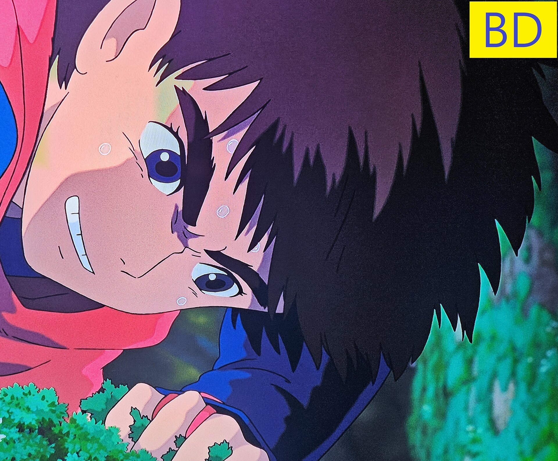 모노노케 히메 LD VS 블루레이 비교 - DVDPrime