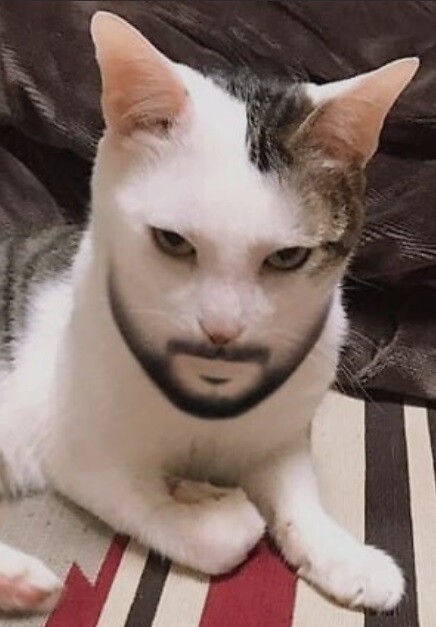 2025년을 준비하는 DP저씨의 자세 - DPrime