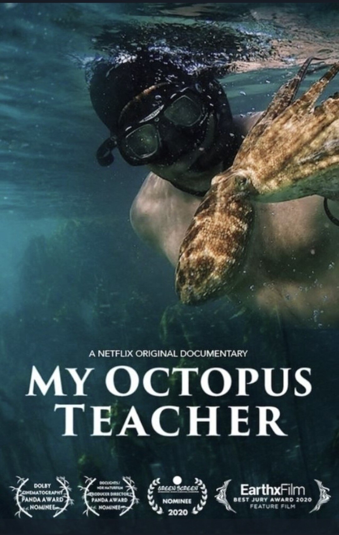 인류 멸망하면 지구 지배할 ‘문어' “지능 높고 소통도 잘해” - DVDPrime