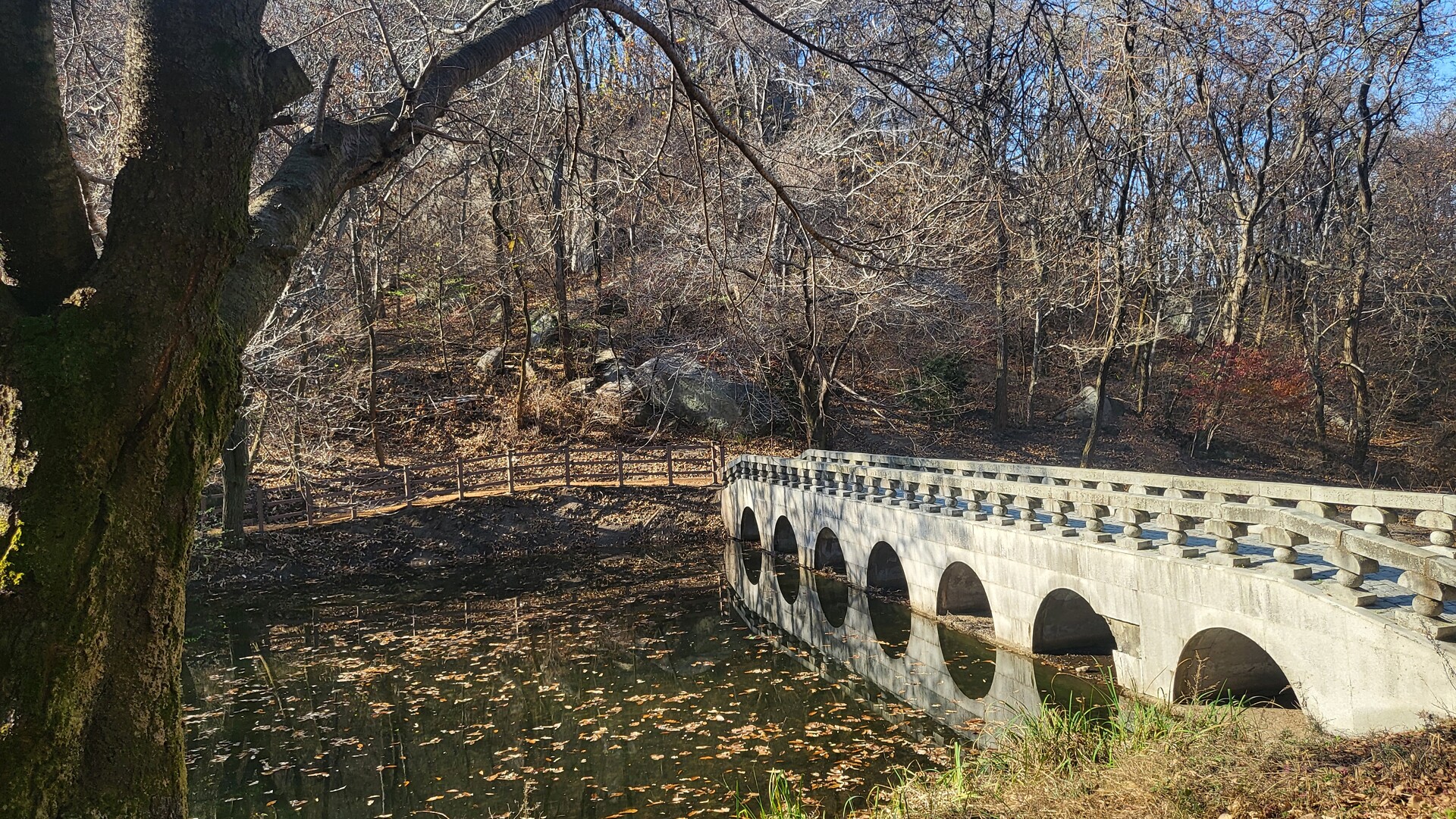 강화도로 바람쐬러갔다욌습니댜 - DPrime