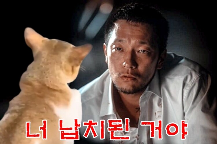 야! 태워줄까?.mp4 - DVDPrime