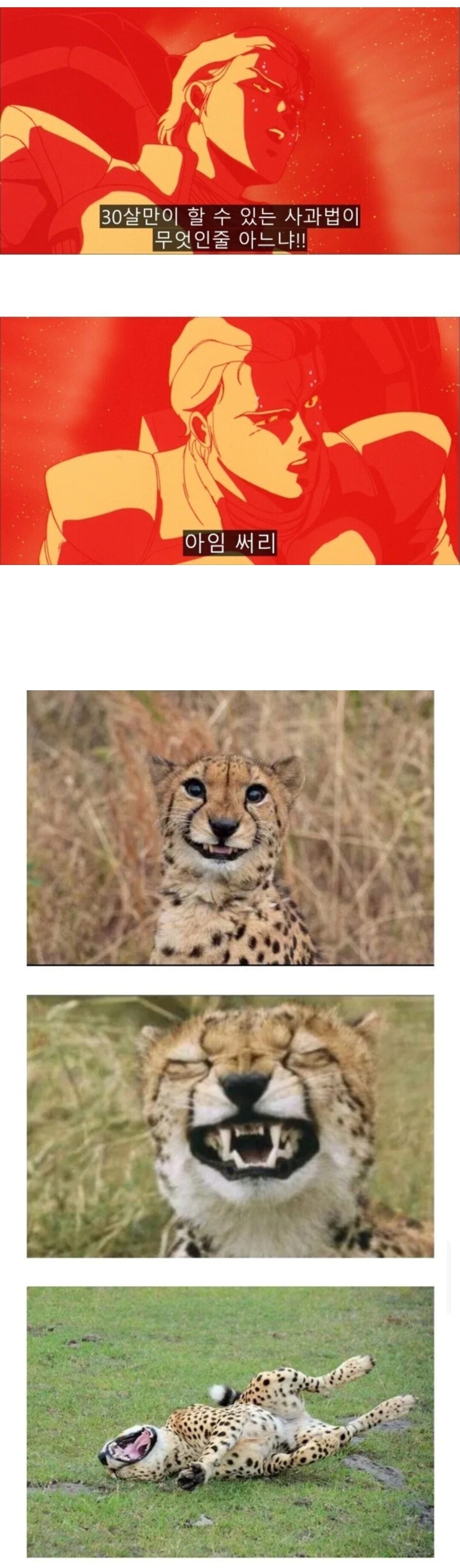 나이 서른만 할수 있는 사과 - DPrime