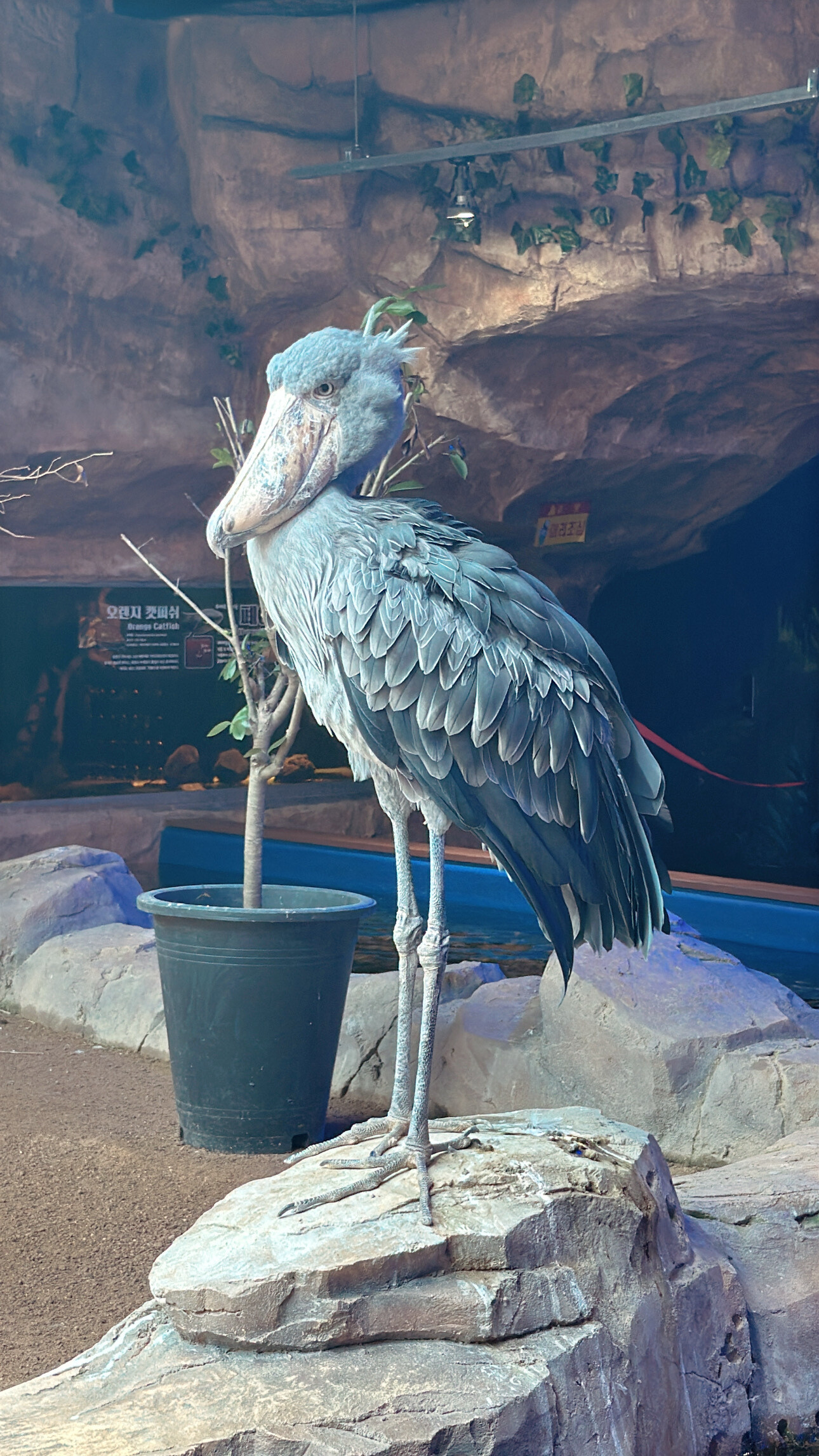 연차 내고 통영.jpg - DVDPrime