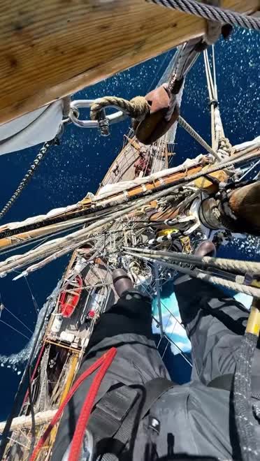 선박 마스트 뷰 - DPrime