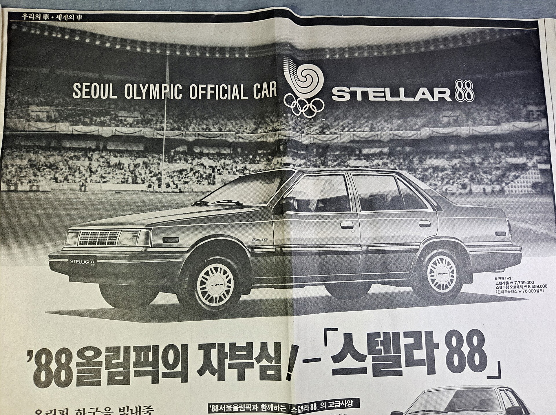 잡화 - 스텔라88 신문 광고 - DVDPrime