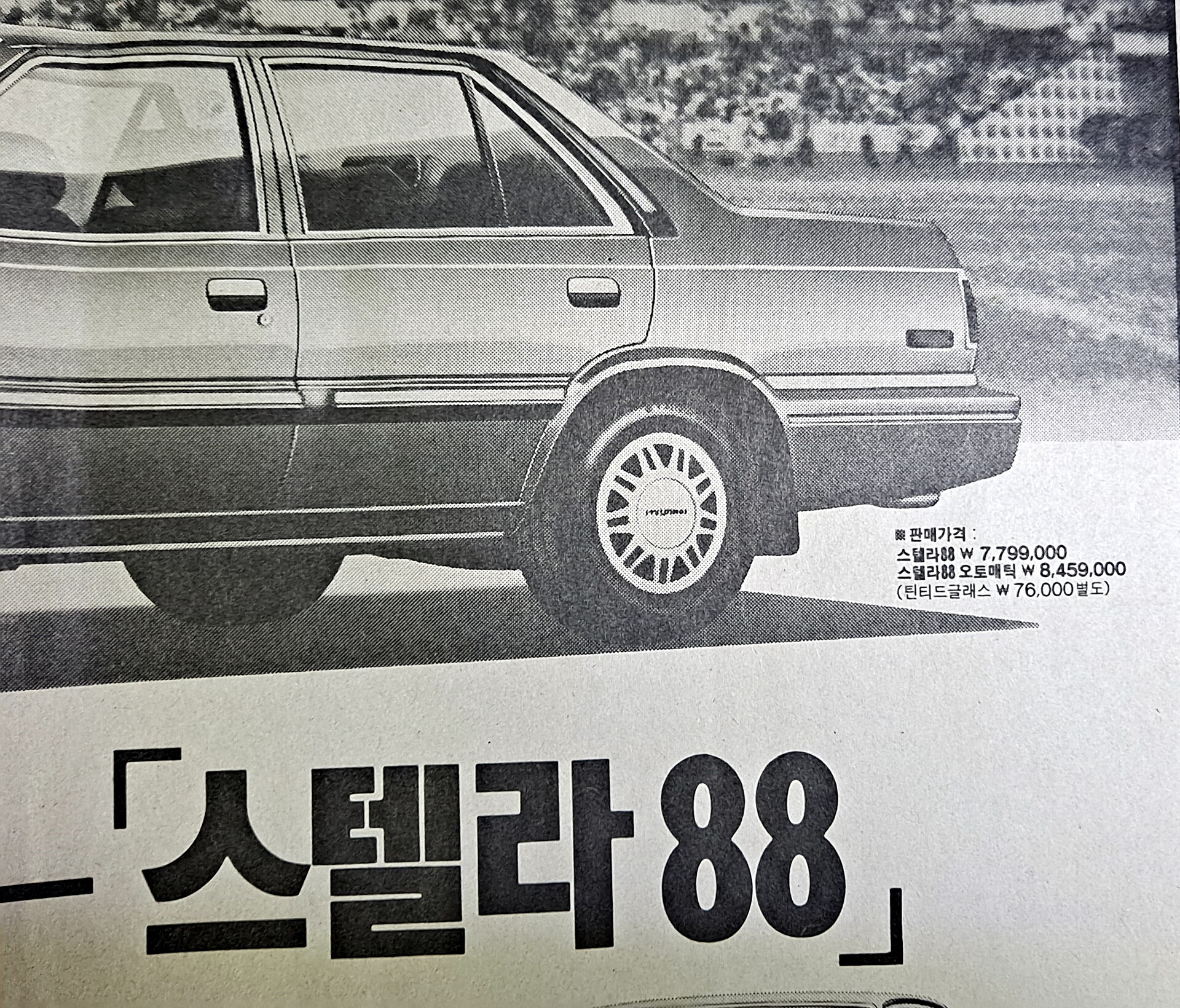 잡화 - 스텔라88 신문 광고 - DVDPrime