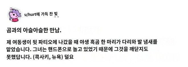 어두운밤 발냄새 맡고 그냥 가버린 야생곰 - DVDPrime