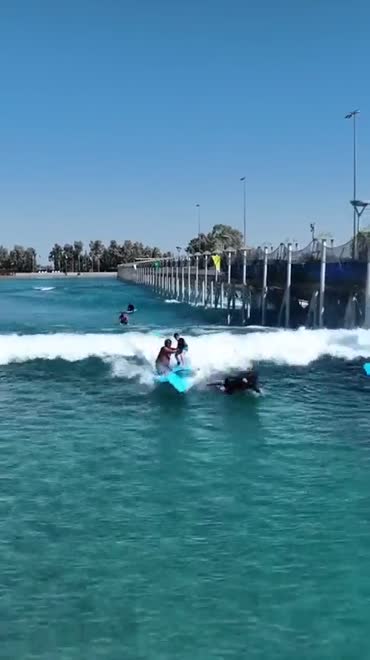 고인물 서핑 강사 - DVDPrime