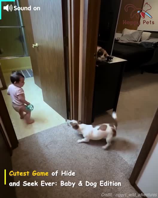 나 잡아봐라.mp4 - DVDPrime