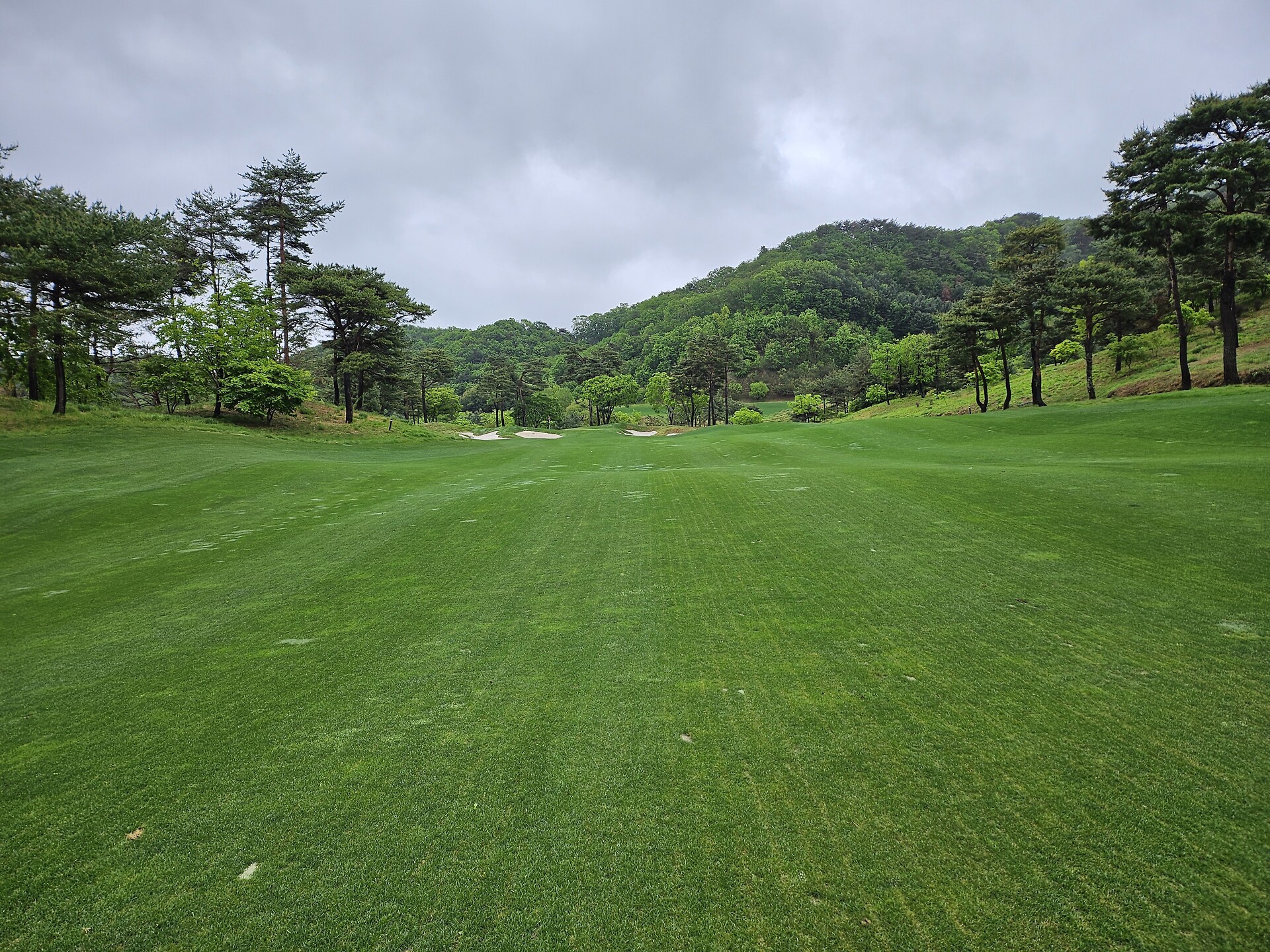 (골프) 휘슬링락 cc - DVDPrime