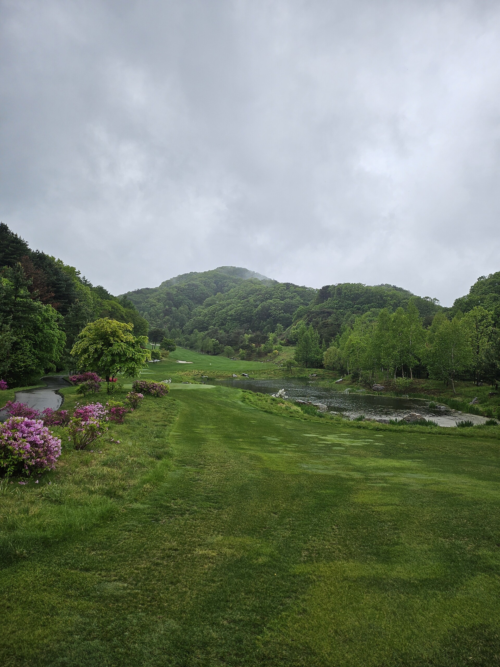 (골프) 휘슬링락 cc - DVDPrime