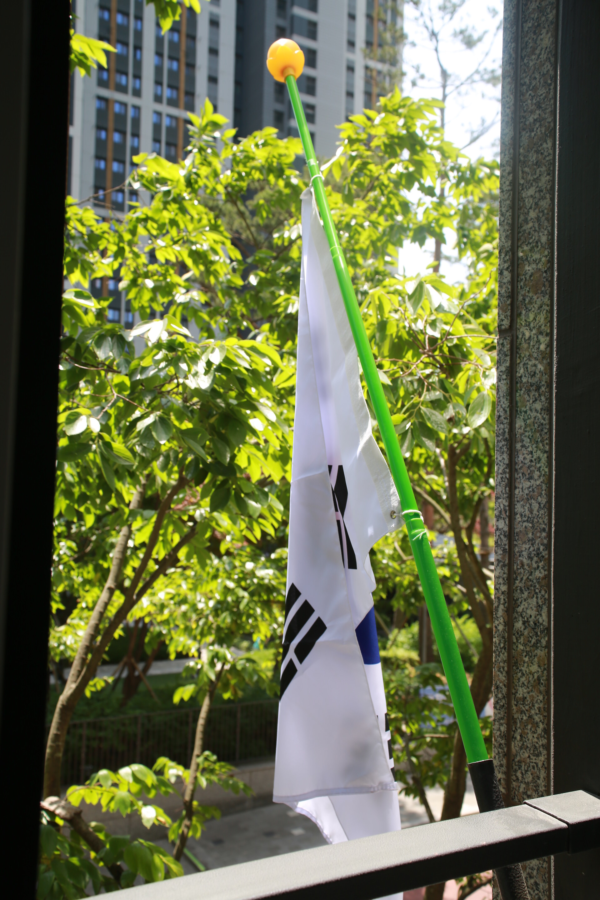 아침에 창밖으로 태극기를 달면서... - DVDPrime