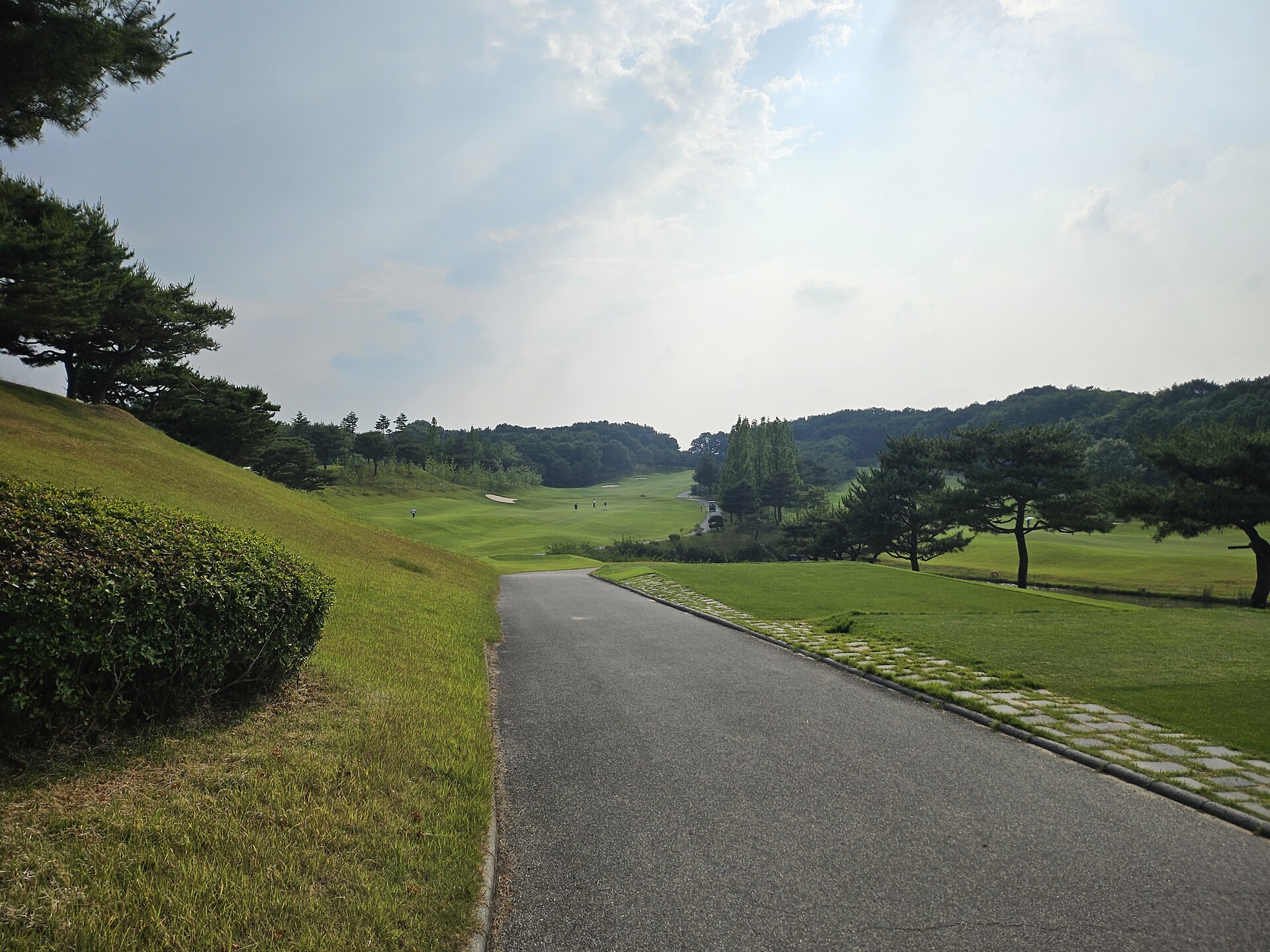 (골프) 금강cc - DVDPrime