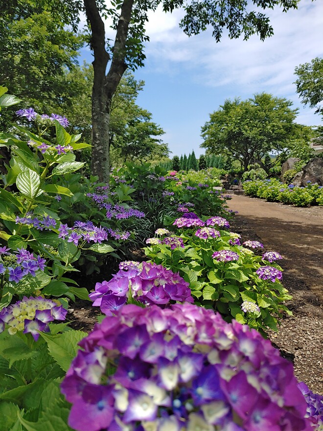 제주 동화마을 사진 몇 장입니다. - DVDPrime