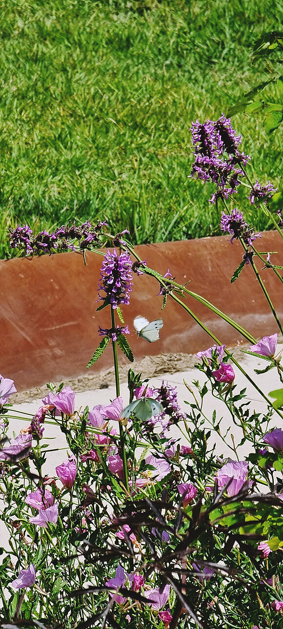 비.행.jpg - DVDPrime