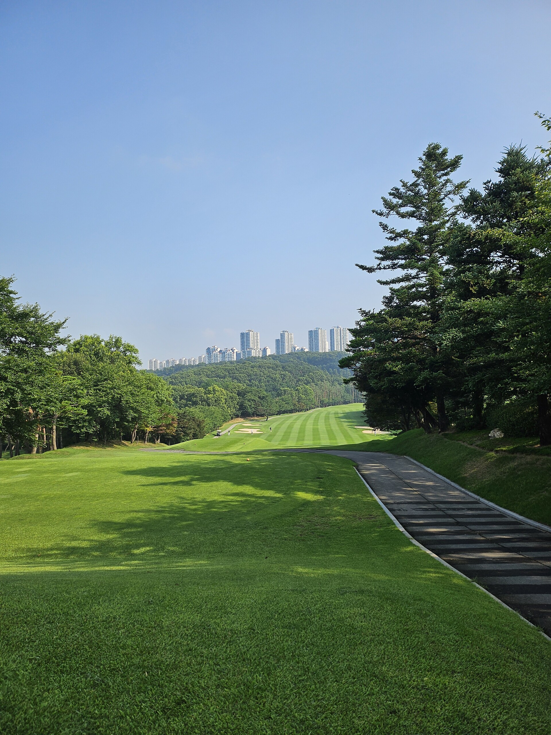 (골프)수원cc - DVDPrime