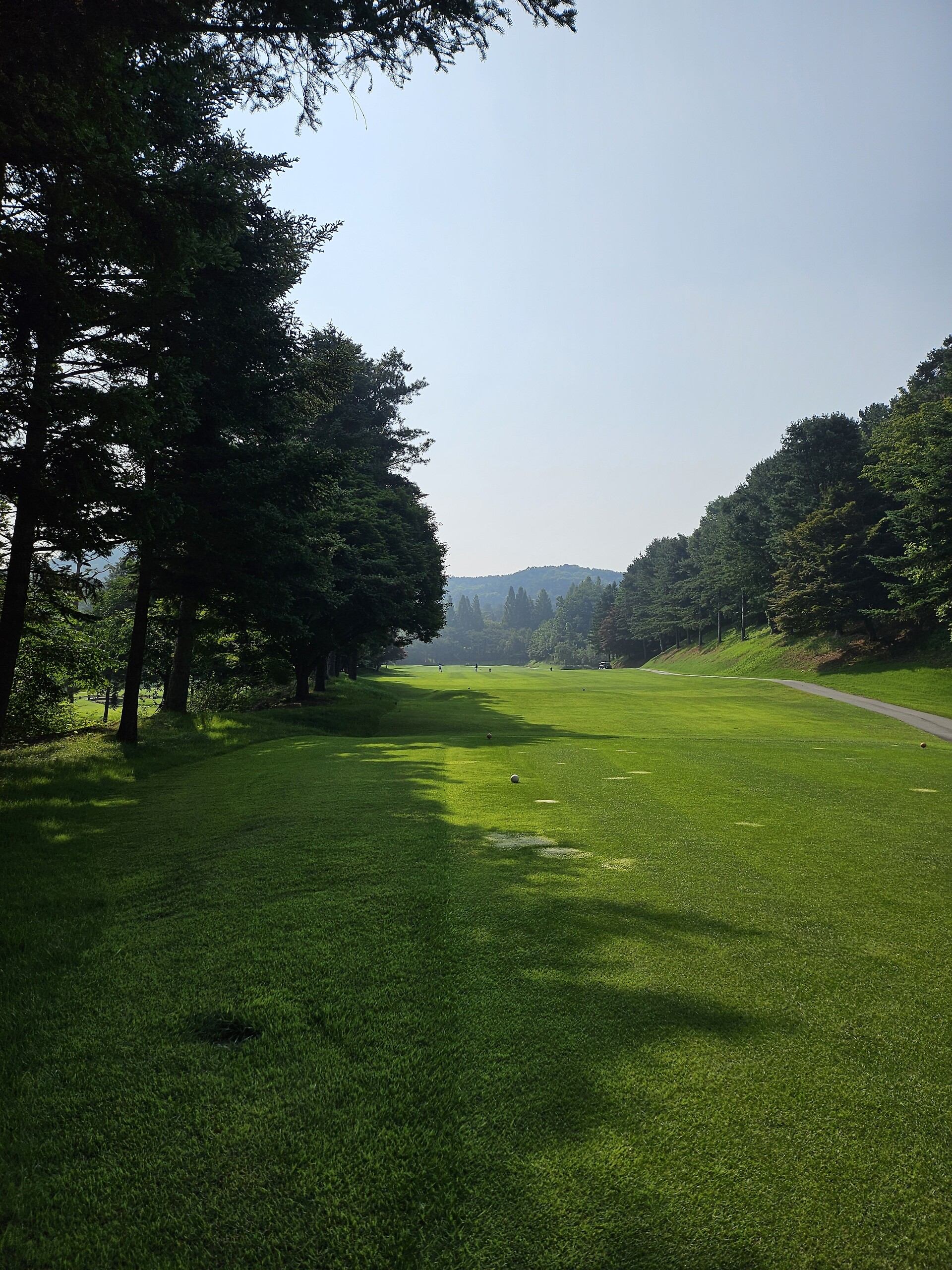 (골프)수원cc - DVDPrime