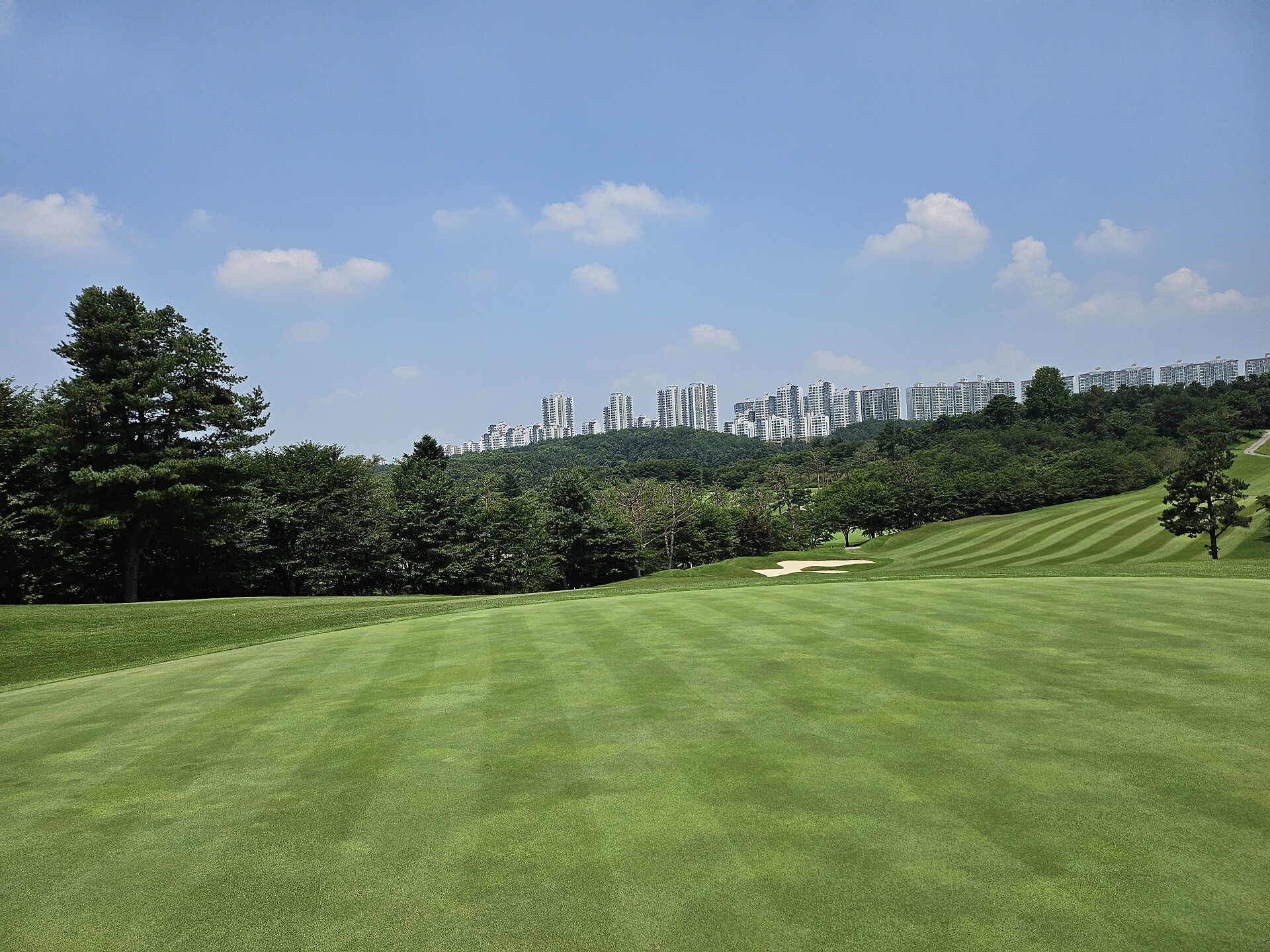 (골프)수원cc - DVDPrime