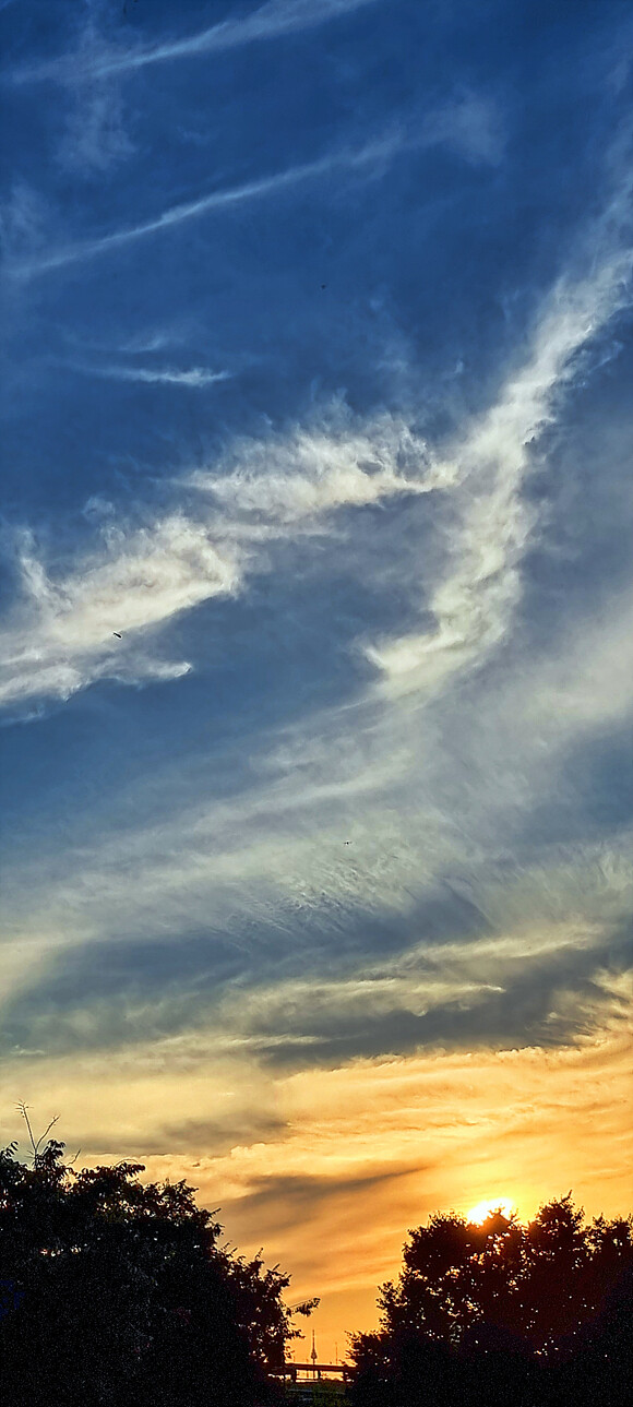 오니솝터 편대 비행.jpg - DVDPrime