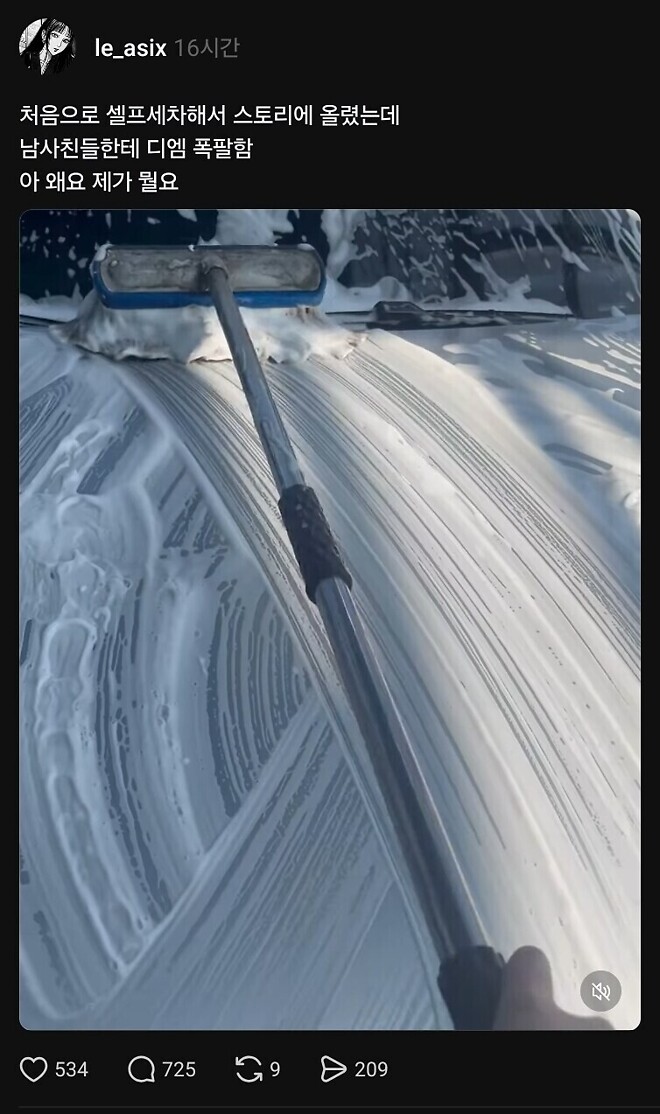 셀프세차한 영상 올렸더니 무수한 DM 받은 여자 - DVDPrime