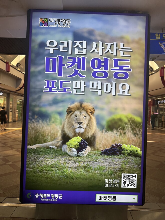 괴이한 충청도 포도 광고 - DVDPrime