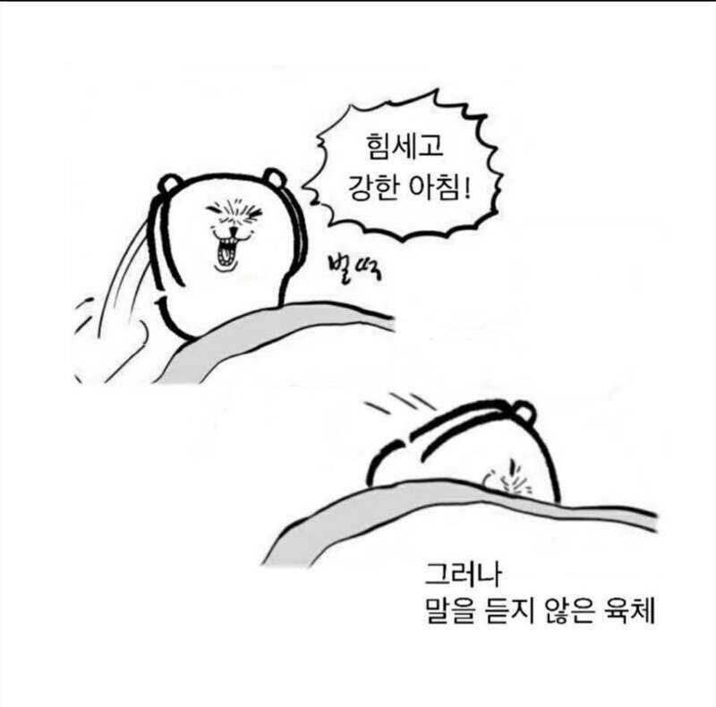 매일 아침 DP저씨들 모습 - DVDPrime