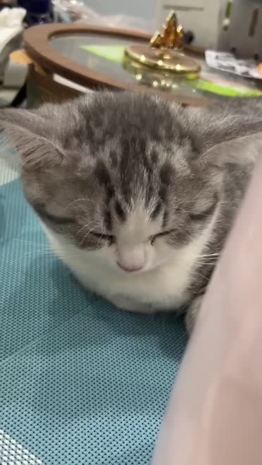 누가 쿵소리를 내었냥.mp4 - DVDPrime