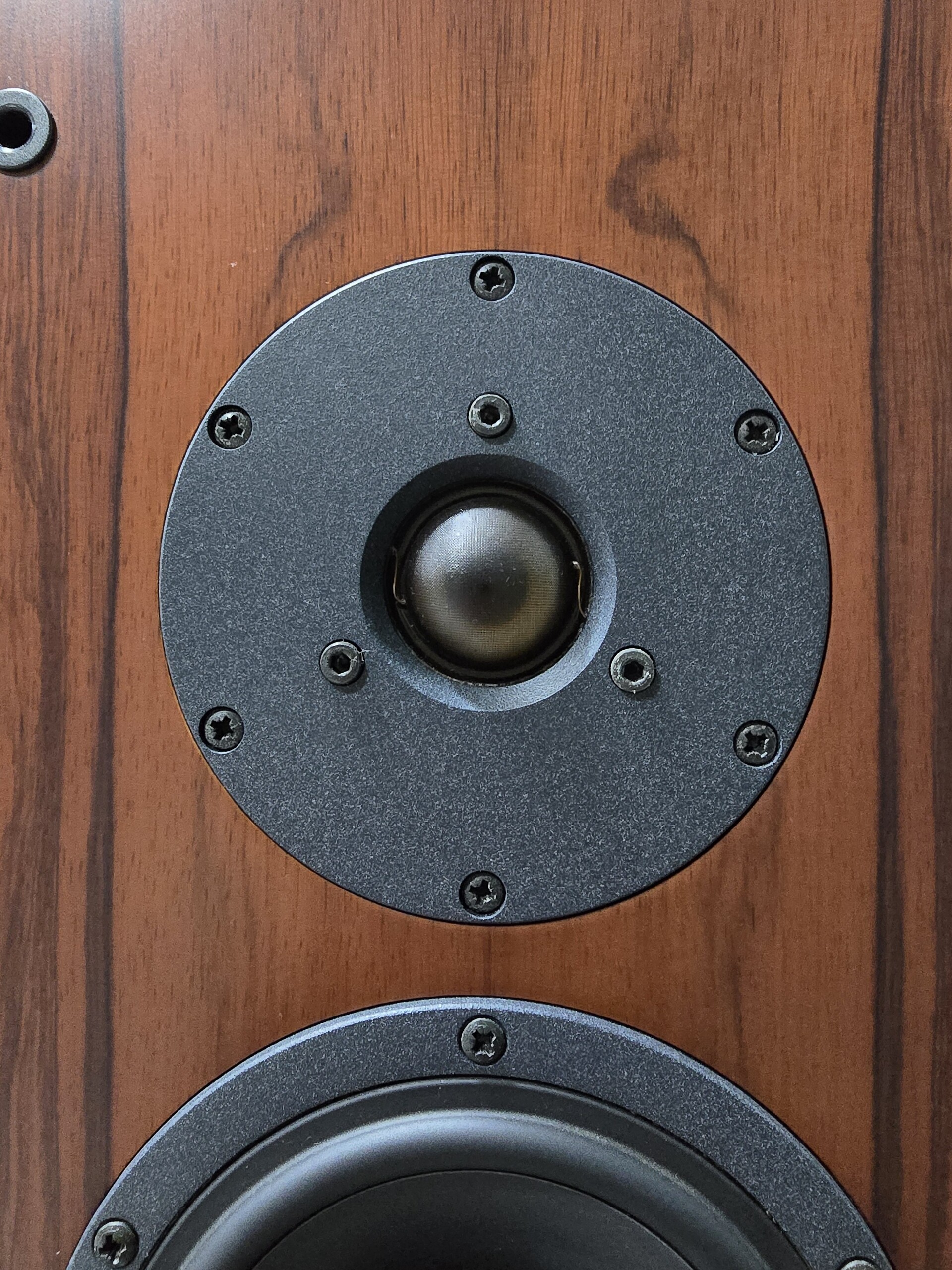 다인 포커스 360 팝니다. - DVDPrime