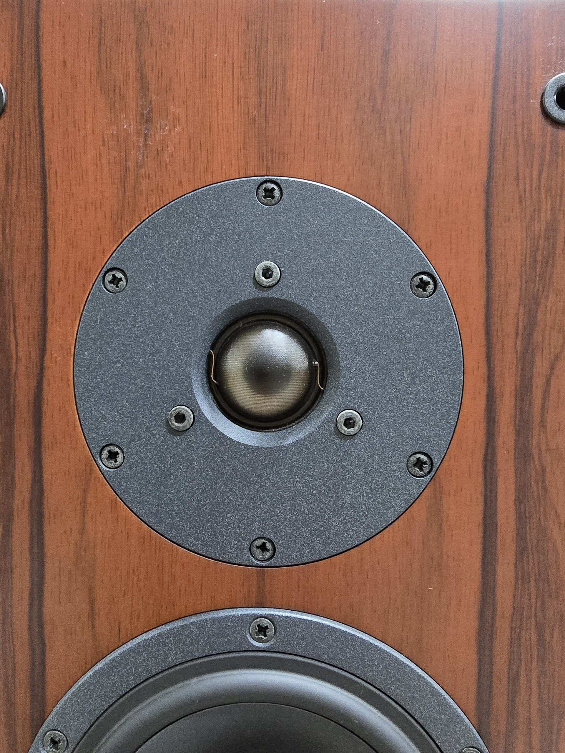 다인 포커스 360 팝니다. - DVDPrime