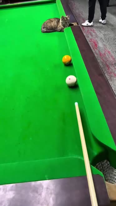 결정적인 승리요인 - DVDPrime