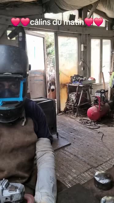 의외로 쓰담 좋아하는 동물.mp4 - DVDPrime