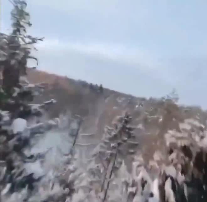 드론 촬영 영상 "살았을까요?" - DVDPrime