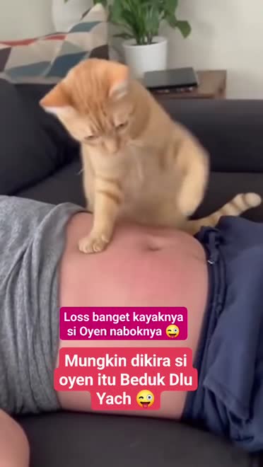 집사 살 좀 빼라.mp4 - DVDPrime