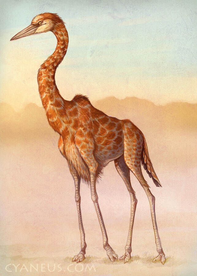 생김새가 독특한 기린 모음 - DPrime