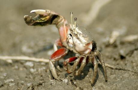 글자 하나만 가렸을 뿐인데...2 - DPrime