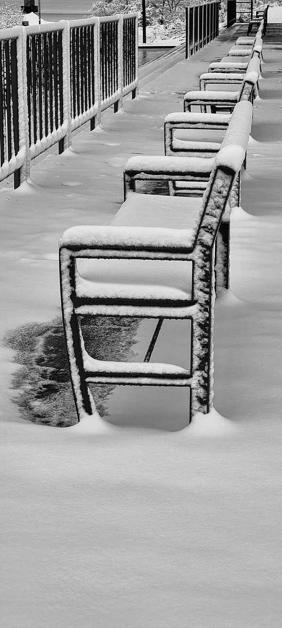 흑백 세상.jpg - DPrime