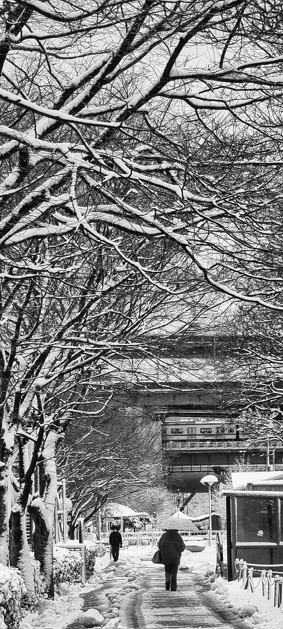 흑백 세상.jpg - DPrime