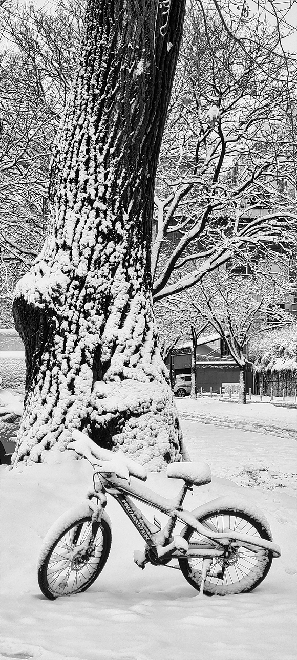 흑백 세상.jpg - DPrime