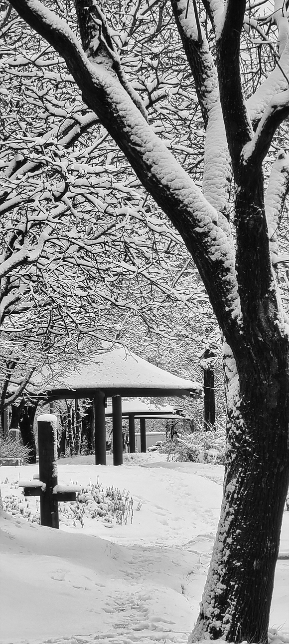 흑백 세상.jpg - DPrime