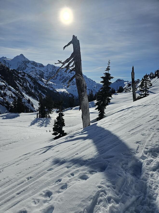 연례 행사, 아티스트 포인트 스노슈잉 - DPrime