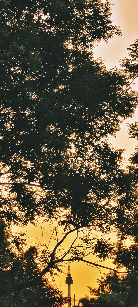 암벽 등반과 일몰.jpg - DPrime