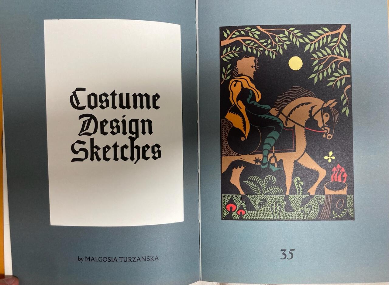 A24 그린나이트 CE - DVDPrime