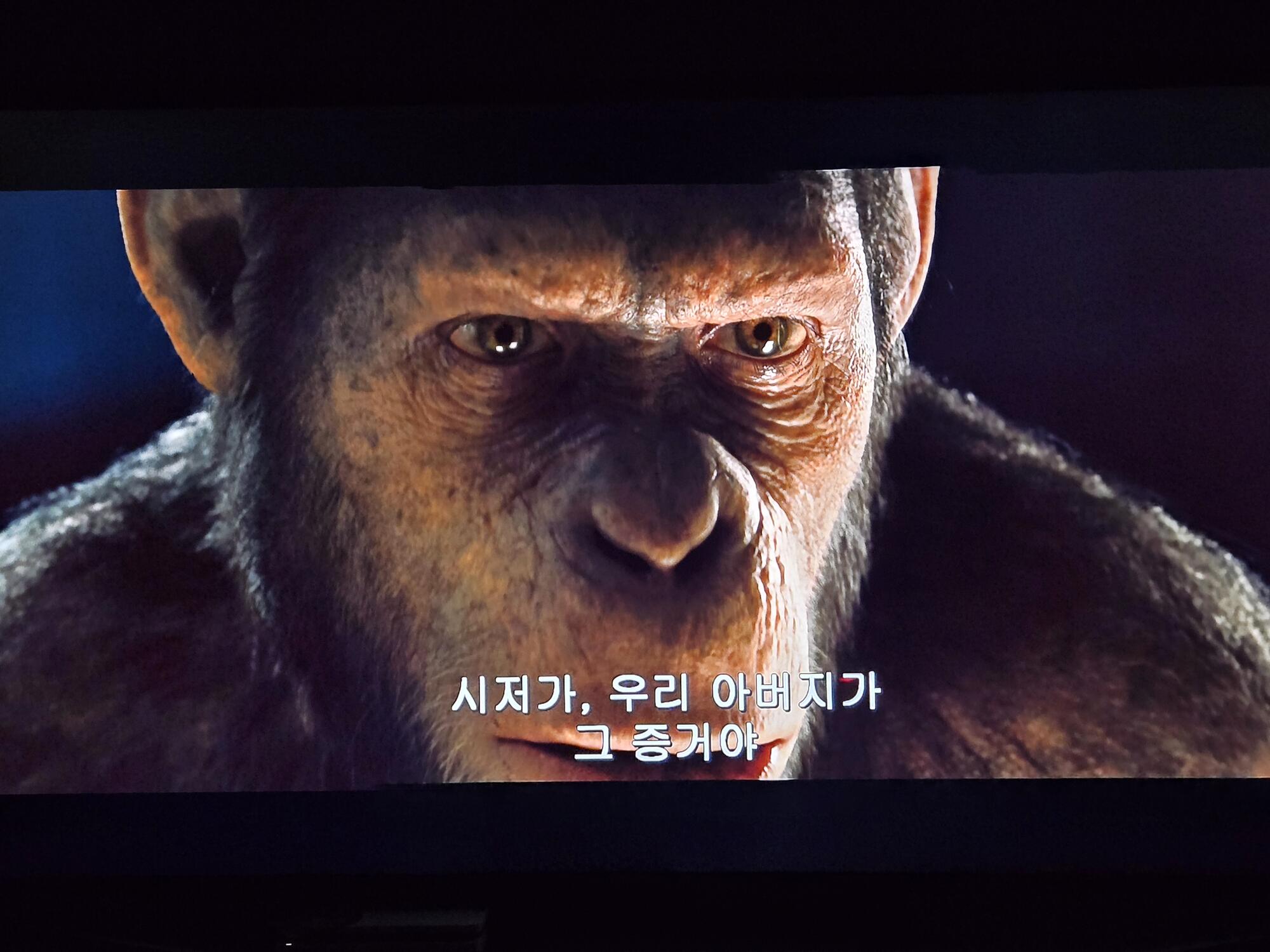 84인치 3D tv 혹성탈출 2 / 3 - DVDPrime