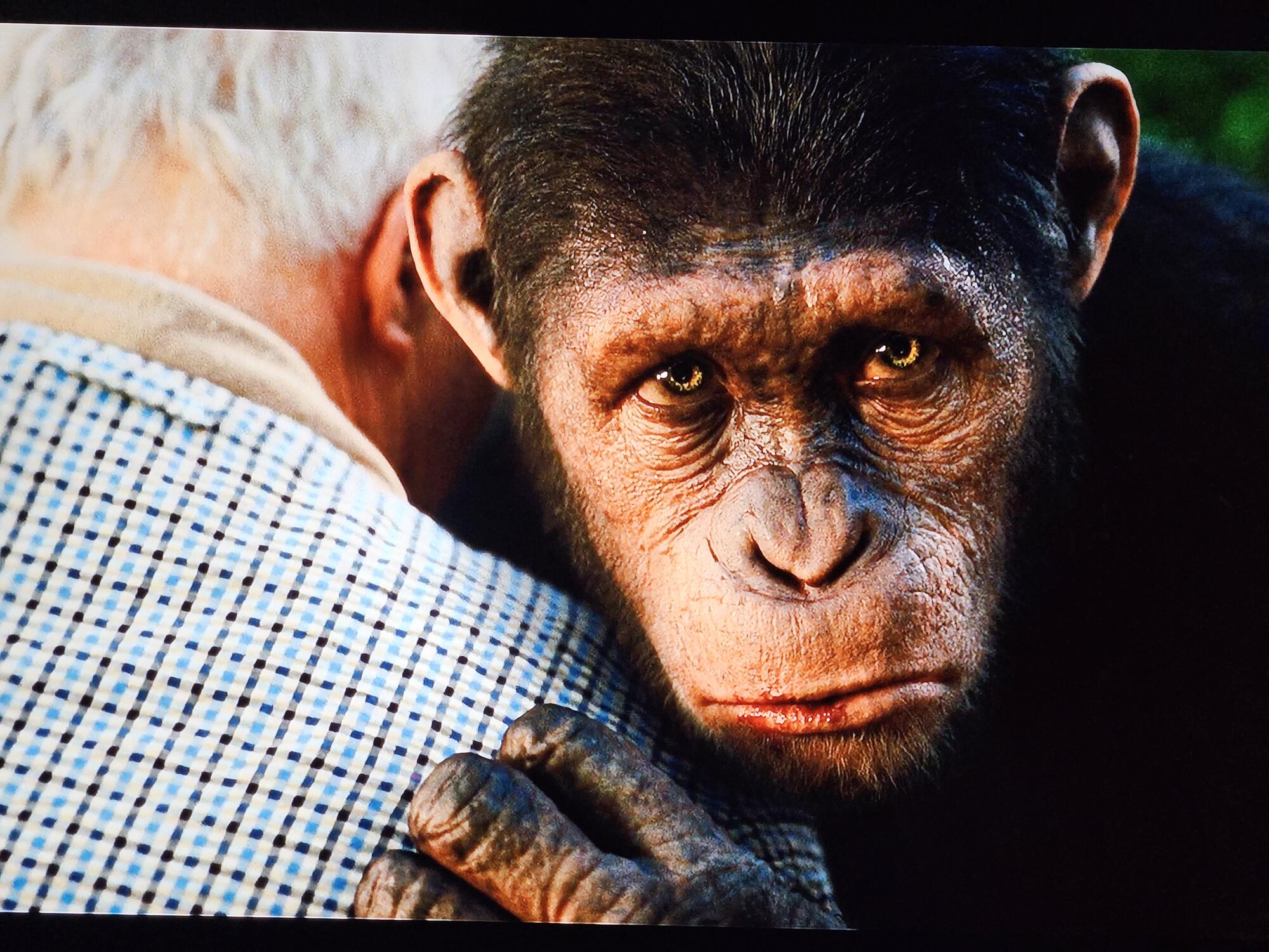 84인치 3D tv 혹성탈출 2 / 3 - DVDPrime